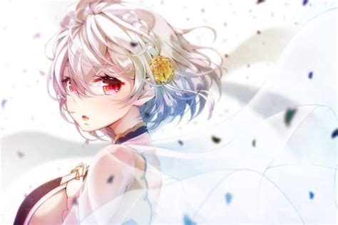 碧蓝航线天狼星壁纸图包原画插画素材P站同人图合集 ACG图包网