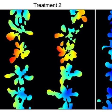 Leaf Temperature Map Generated By Crossing The Temperature Map Of The