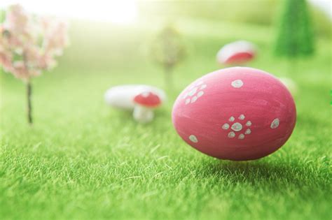 드림 랜드 또는 요정 세계에서 핑크 컬러 달걀과 부활절 달걀 사냥 0명에 대한 스톡 사진 및 기타 이미지 0명 4월 검색 Istock