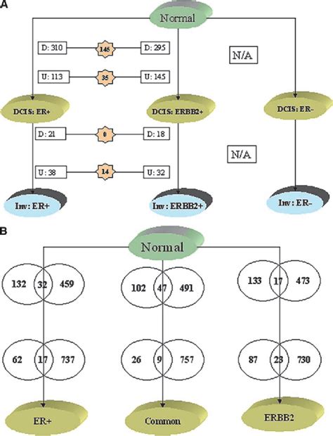 Figure 1 From Conservation Of Breast Cancer Molecular Subtypes And