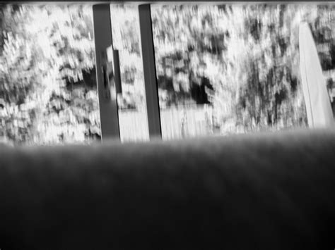 Semper Lumen Diana Fotografie Diana Fotografie Portfolio