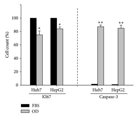 The Antitumor Effect On Hepatocellular Carcinoma Hcc Cell Lines