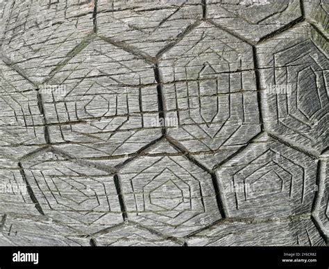 A Wood Surface On A Playground Featuring Worn Turtle Like Rhombuses