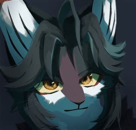 Broken Feather On Toyhouse