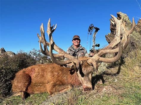Red Stag Scotland