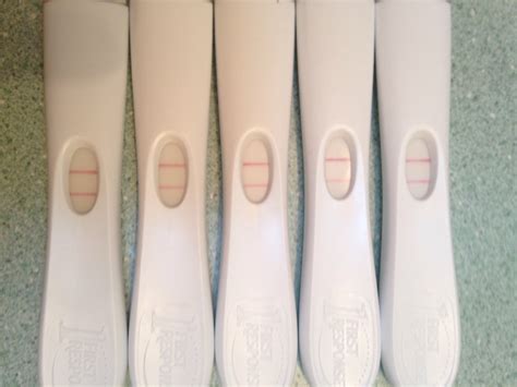 7 Days Straight Positive Ovulation Test — The Bump