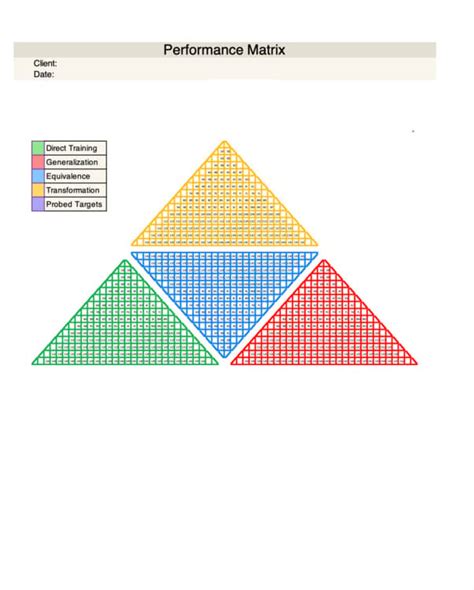 PEAK PCA Assessment Automated Scoring Sheet Auto Fill Triangles Excel ABA