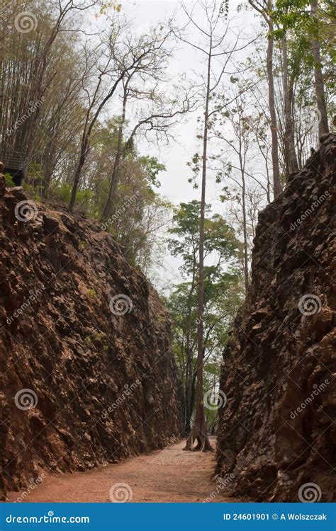 Hellfire Pass In Thailand Stock Image Image Of Forest 24601901