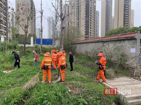 美化高速周边环境，他们共同在行动碧桂园社区小区东荆街道