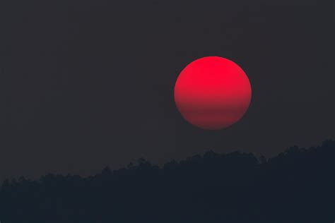 밤 시간 동안 붉은 달 · 무료 스톡 사진