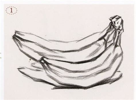素描静物香蕉实体图与结构和步骤 普画网