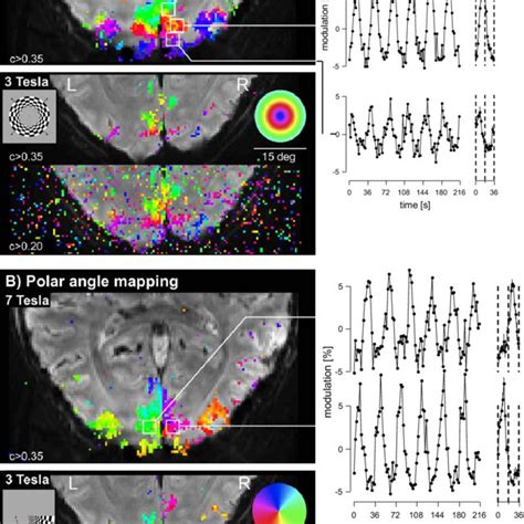 Responses For The Phase Encoding Paradigm Of A Single Subject