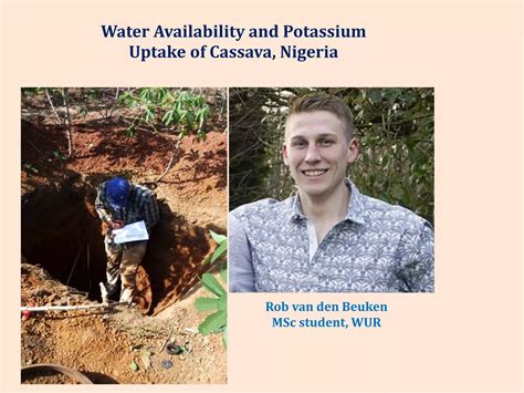 Improved Crop Management Systems For Sustainable Cassava Production In