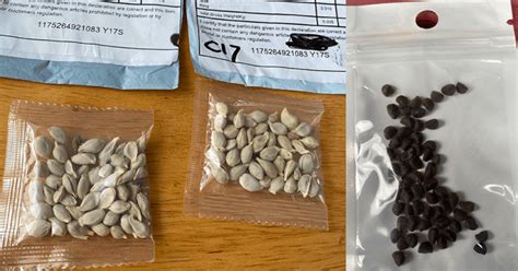 美 27 州收來自中國來歷不明種子包裹 農業部警告民眾不要栽種 中國外交部：假郵包要求美方退回調查 立場新聞•聞庫