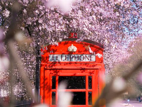 Primavera Em Londres 20 Coisas Inesquecíveis Para Fazer Nesta Estação