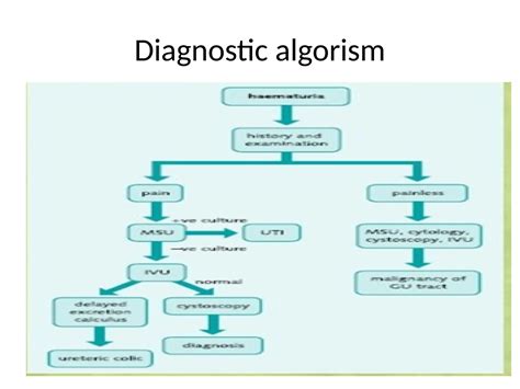 Approach To A Patient With Hematuria Pptx