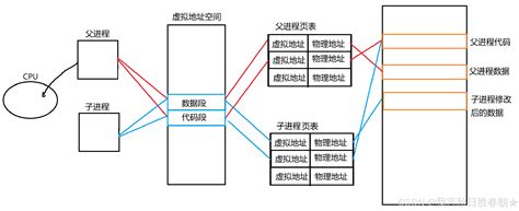 【linux】进程控制 进程创建与进程终止