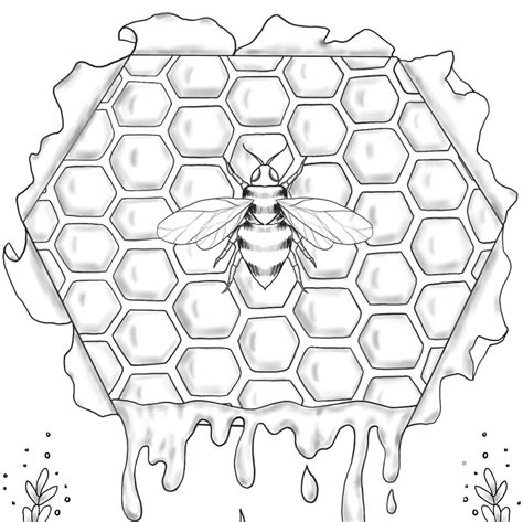 Comb Coloring Page