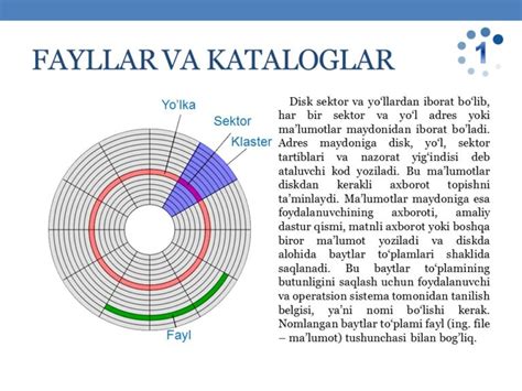 Fayllar Va Kataloglar Dars Ishlanma
