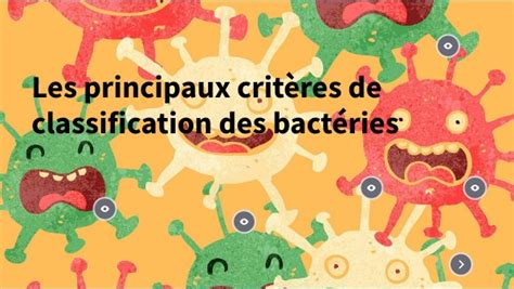 Les Critères De Classification Des Bactéries Genially