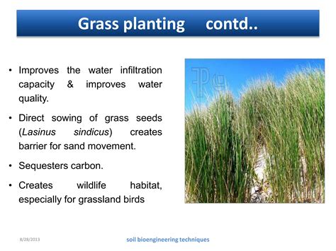 Bio Engineering Measures For Soil Erosion Control Pptx