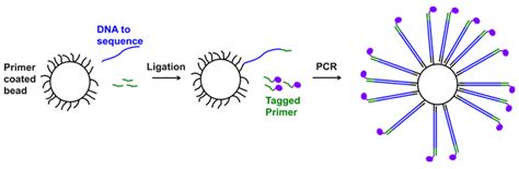 Dna Sequencing Gets Solid With Built In Error Detection Ars Technica