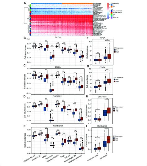 Correlation Of Syk Expression With Immune And Stromal Infiltration Download Scientific