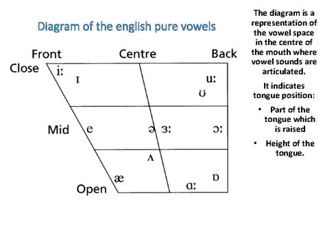 Vowel Sounds Classification And Description Professorauthor Navarro Maria