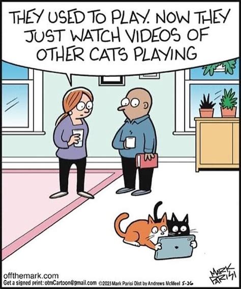 This Artist Sums Up Life With A Cat In His 40 Funny Cartoons Bored Panda