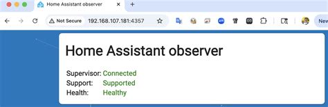 Waiting For The Home Assistant Cli To Be Ready