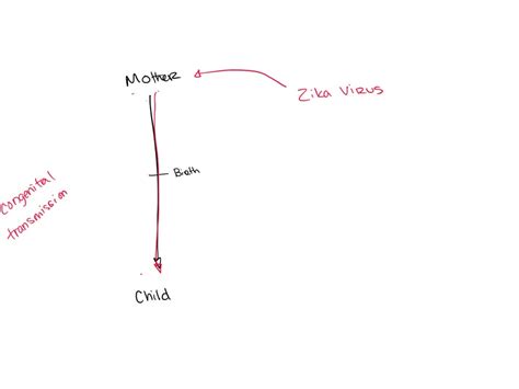 Solved Examples Of Diseases That Can Transmit Through Congenital