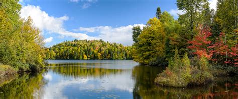 Protecting Canadas Freshwater Ecosytems Wwfca