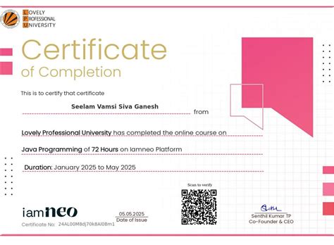 Java Programming Certification Iamneo Lpu Softwaredevelopment