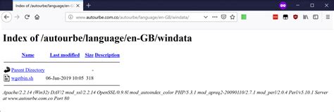 New Mirai Variant Targets Enterprise Wireless Presentation Display