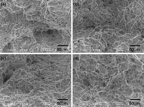 Sem Micrographs Showing The Fracture Surface After The Tensile Test At