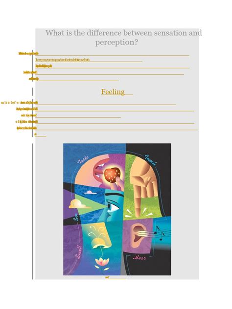 Sensation Vs Perception Explained Pdf Senses Perception