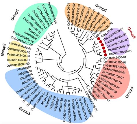 生信小工具 手把手教你从序列查找开始，绘制漂亮的进化树 微信文章 仪器谱