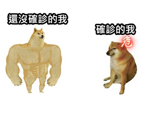 還沒確診的我 確診的我