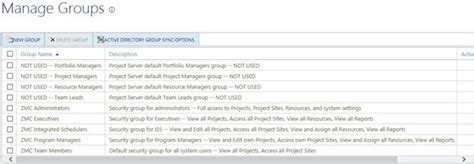 Project Server Security Mode Naming And Description Conventions Epma Insights