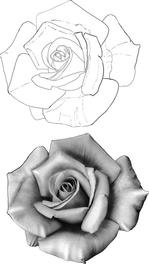 Artofit
