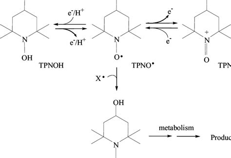 Main Biological Redox Reactions Of Tempol Tpno • A Cyclic Nitroxide