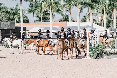 What Is Hunter Under Saddle Class At Ethel Laskey Blog