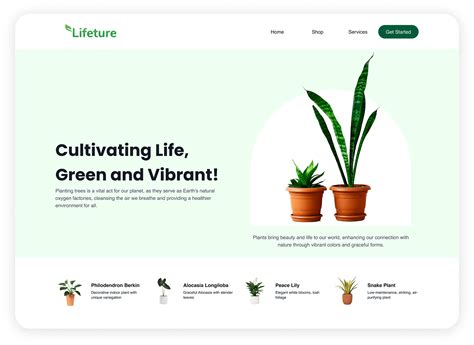 Banner Ui Design Behance