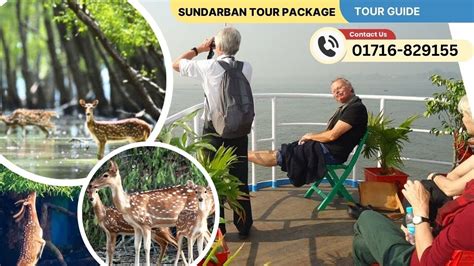কম খরচে সুন্দরবন ভ্রমণ 🌿 Sundarban Tour Package Youtube
