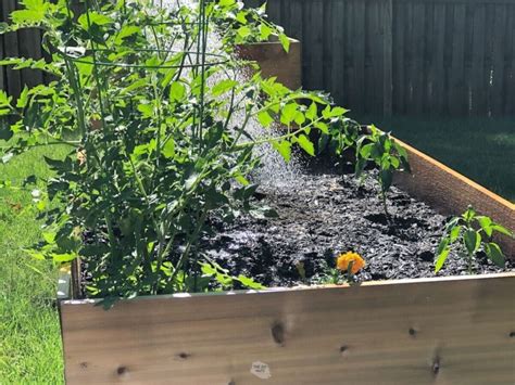 How To Build Diy Raised Garden Boxes And Beds The Diy Nuts