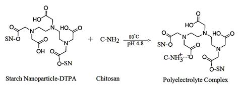 1 2 Polyelectrolyte Complexation Of Starch Nanoparticle Dtpa With Download Scientific Diagram