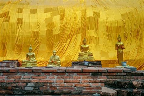 The Benefits Of Developing Compassion — Study Buddhism