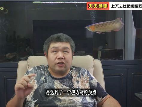 天天硬事4173期02 丰田汽车子品牌被曝碰撞测试造假，日系电动车已经出局 真的很博通 博通聊历史 Supermruko