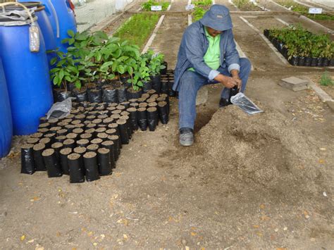 Econature Visita Bosque Protector De La Espol