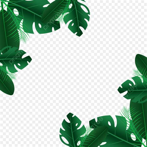 Tropical Leaves Border Vector Hd PNG Images Tropical Frame Border